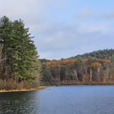 Boston Lot Lake, New Hampshire - 740 Reviews, Map | AllTrails