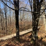 Wizards Way, North Carolina - 221 Reviews, Map | AllTrails