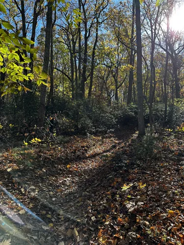 Best Hikes and Trails in Huber Woods County Park | AllTrails