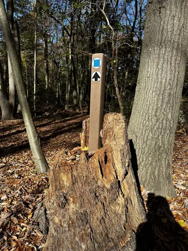 Best Hikes and Trails in Huber Woods County Park | AllTrails