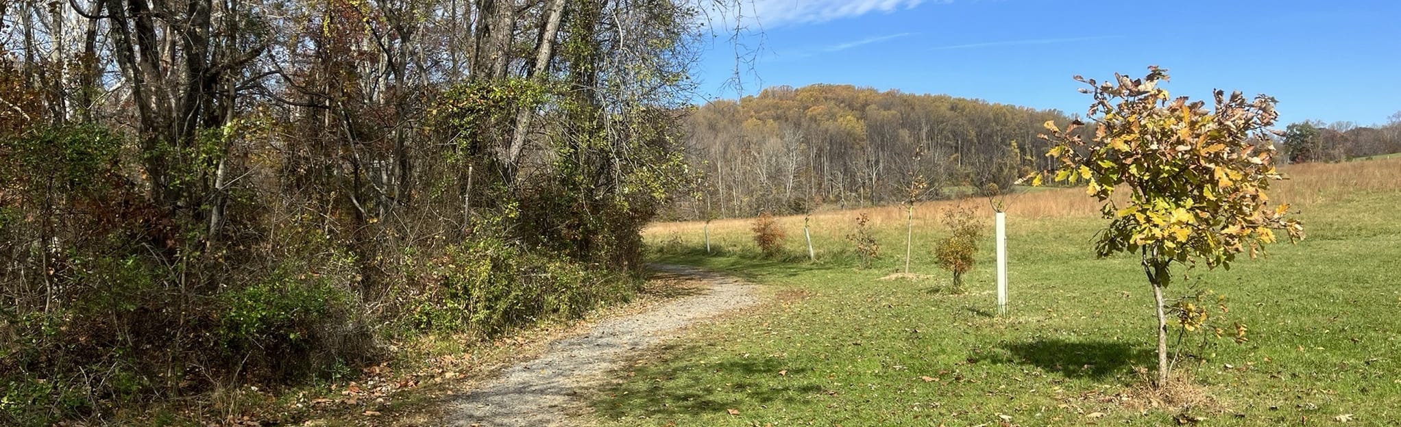 Jerusalem Mills and Little Gunpowder Short Loop Trail, Maryland - 1,761 ...