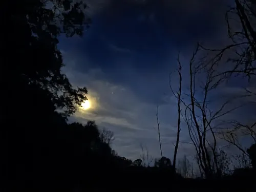 Best Hikes and Trails in Rose Lake State Wildlife Area | AllTrails