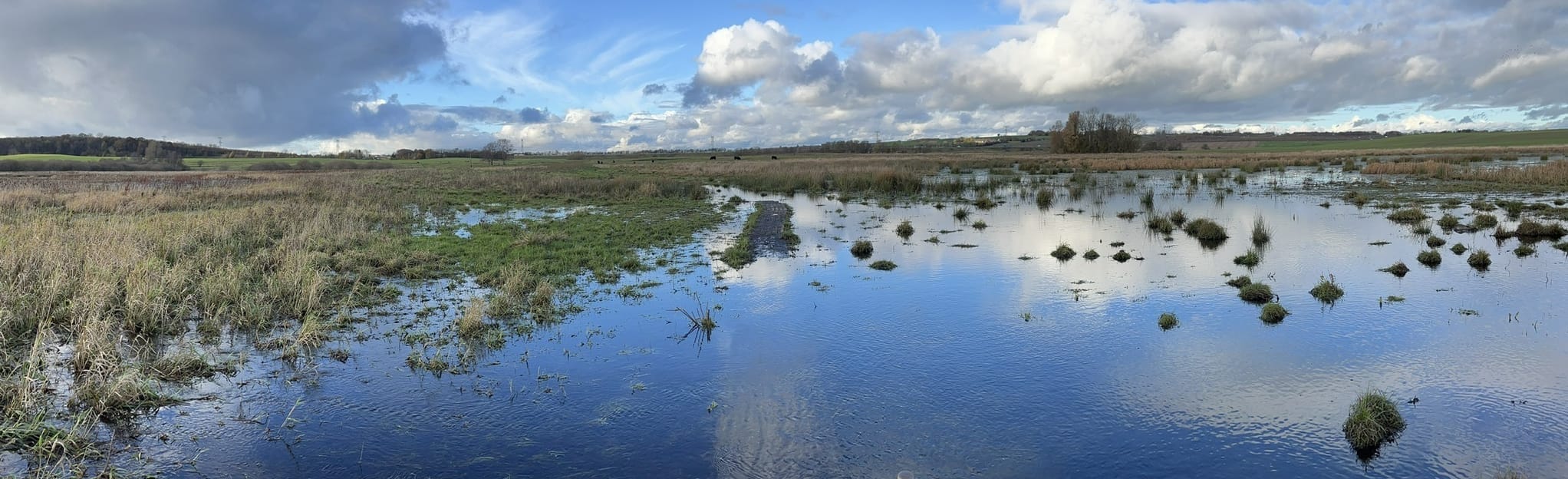 Kasted - Red Trail, Central Denmark Region, Denmark - Map, Guide ...