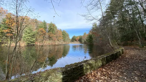 10 Best Hikes and Trails in Case Mountain Park | AllTrails