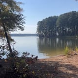 Harris Lake Peninsula Trail, North Carolina - 1,700 Reviews, Map ...