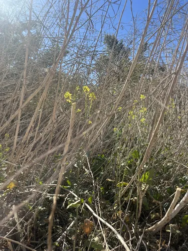 2023 Best Lake Trails in Yorba Linda | AllTrails