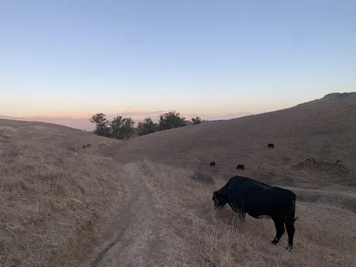 Best Hikes and Trails in Johnson Ranch Open Space | AllTrails