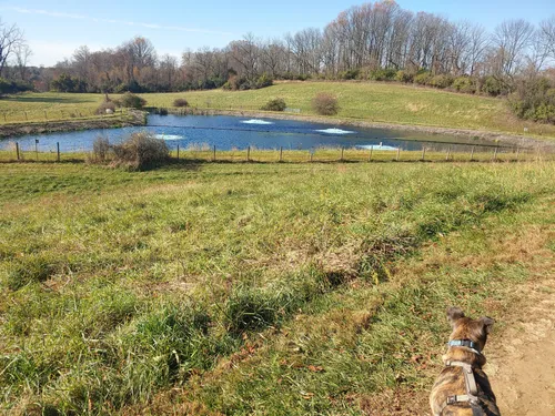 Best Hikes and Trails in Okehocking Preserve | AllTrails