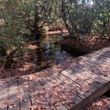 Daniel Ridge Loop, North Carolina - 1,793 Reviews, Map | AllTrails