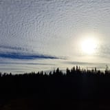 Blackmud Creek Ravine Loop, Alberta, Canada - 132 Reviews, Map | AllTrails