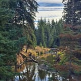 Blackmud Creek Ravine Loop, Alberta, Canada - 132 Reviews, Map | AllTrails