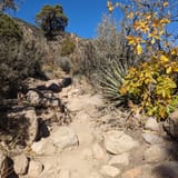 Fatmans Loop Trail, Arizona - 4,951 Reviews, Map | AllTrails