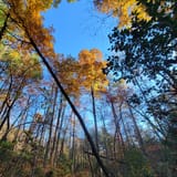 Bull Mountain, Jones Creek, Moss Creek, and Jake Mountain Loop, Georgia ...