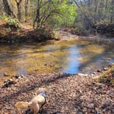 Bull Mountain, Jones Creek, Moss Creek, and Jake Mountain Loop, Georgia ...