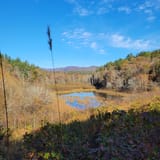 Bull Mountain, Jones Creek, Moss Creek, and Jake Mountain Loop, Georgia ...