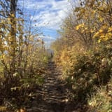 Angels Rest to Devil's Rest Loop Trail, Oregon - 1,231 Reviews, Map ...