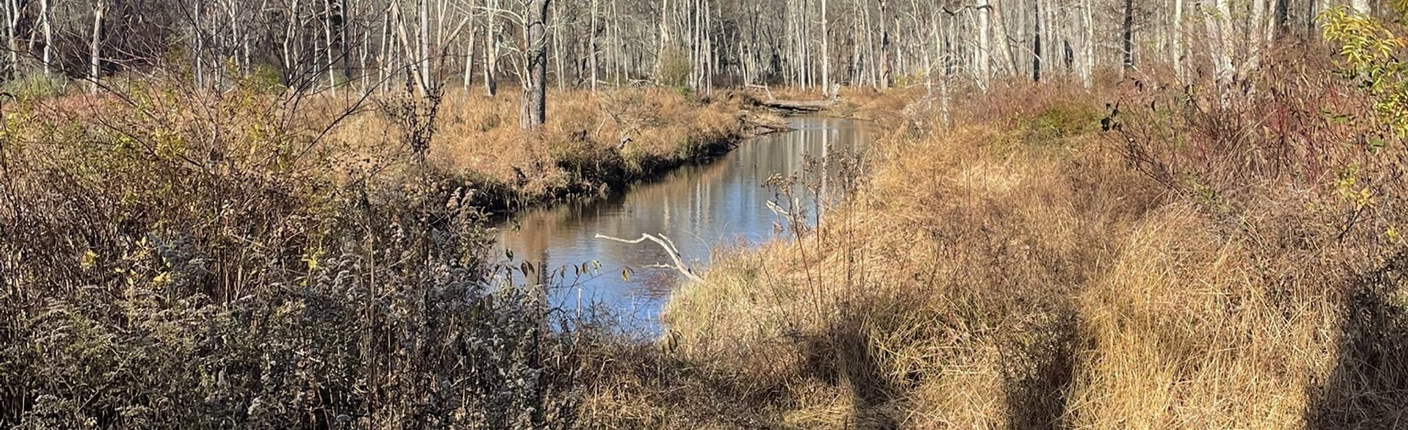 Leathermans Loop, New York - 50 Reviews, Map | AllTrails