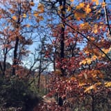 Kennedy Peak Loop, Virginia - 571 Reviews, Map | AllTrails
