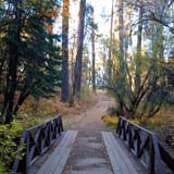 Bear Wallow Spring, Arizona - 394 Reviews, Map | AllTrails