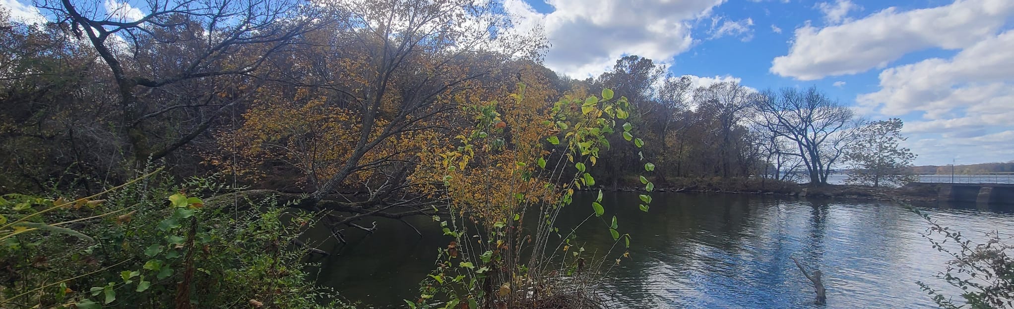 TVA Reservation Rock Pile, Alabama - 207 Reviews, Map | AllTrails