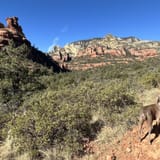 Secret Canyon Trail, Arizona - 152 Reviews, Map | AllTrails