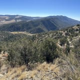 Carlito Springs Loop, New Mexico - 462 Reviews, Map | AllTrails