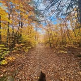 Copple Crown Mountain, New Hampshire - 574 Reviews, Map | AllTrails