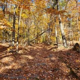 Copple Crown Mountain, New Hampshire - 574 Reviews, Map | AllTrails