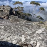 Splender Rock via Narrow Neck Trail and Tarros Ladder, New South Wales ...