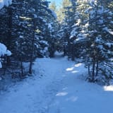 Middle Lake Trail, Alberta, Canada - 238 Reviews, Map | AllTrails