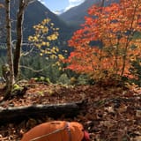 Iron Goat Trail, Washington - 1,375 Reviews, Map | AllTrails