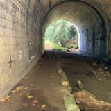 Iron Goat Trail, Washington - 1,375 Reviews, Map | AllTrails
