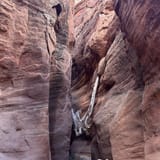Wire Pass Trail, Utah - 2,681 Reviews, Map | AllTrails