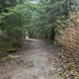 Treadwell Mine Ruins , Alaska - 270 Reviews, Map | AllTrails