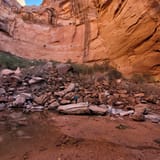 Moonflower Canyon Trail, Utah - 380 Reviews, Map | AllTrails