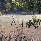 Overlook Trail at Buffalo Point, Arkansas - 230 Reviews, Map | AllTrails