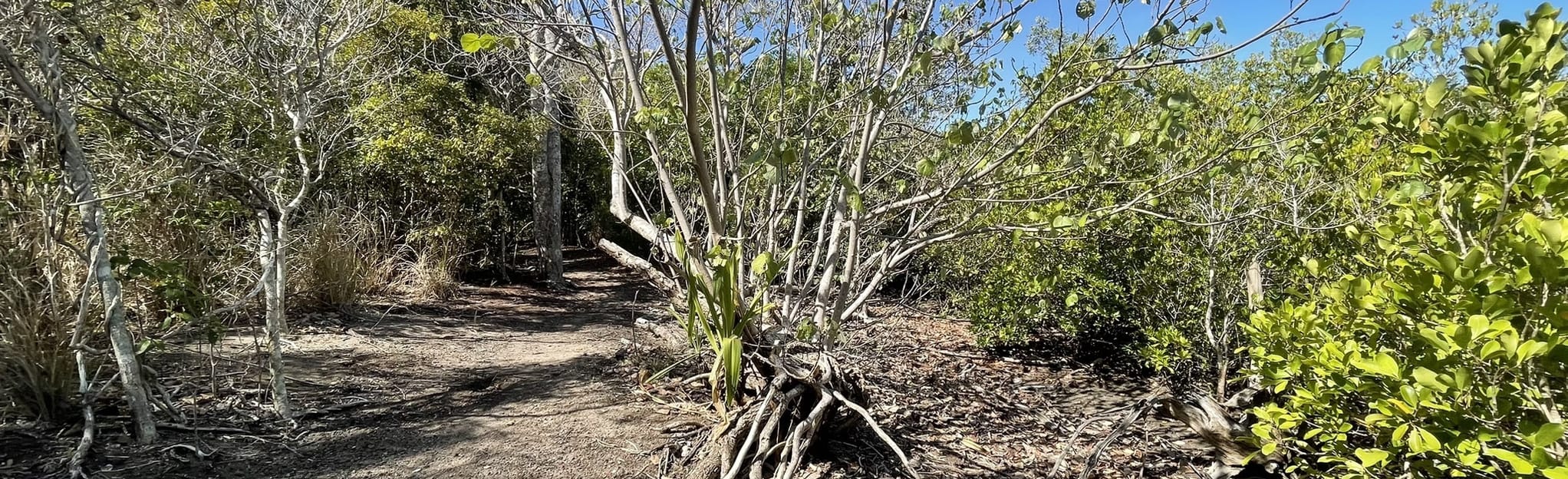 Hayward Gully and Coastal Fringe Circuit, Queensland, Australia - 36 ...
