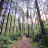 Banner Forest Heritage Park Loop, Washington - 1,243 Reviews, Map ...
