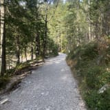 Eibsee Loop, Bavaria, Germany - 905 Reviews, Map | AllTrails