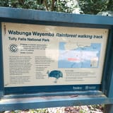 Wabunga Wayemba Rainforest Trail, Queensland, Australia - 10 Reviews ...