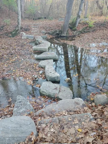 2023 Best Trail Running Trails in Bill Yeck Park | AllTrails