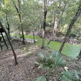 Moon Seed Loop, Louisiana - 383 Reviews, Map | AllTrails