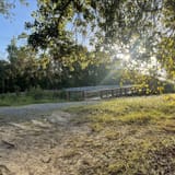 Moon Seed Loop, Louisiana - 381 Reviews, Map | AllTrails