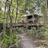 Moon Seed Loop, Louisiana - 381 Reviews, Map | AllTrails