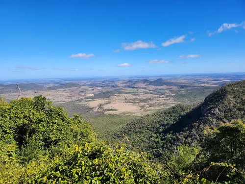 Best Walking Trails in Bunya Mountains National Park | AllTrails