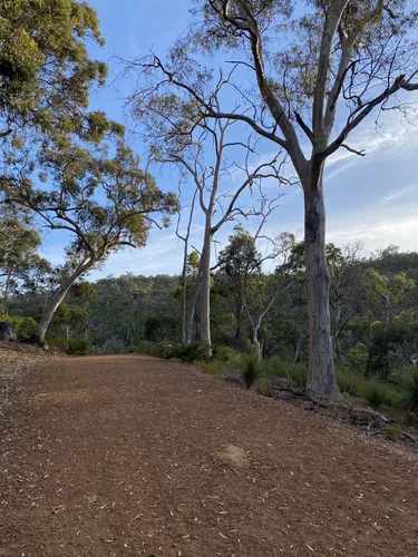 2023 Best Waterfall Trails in Kalamunda National Park | AllTrails