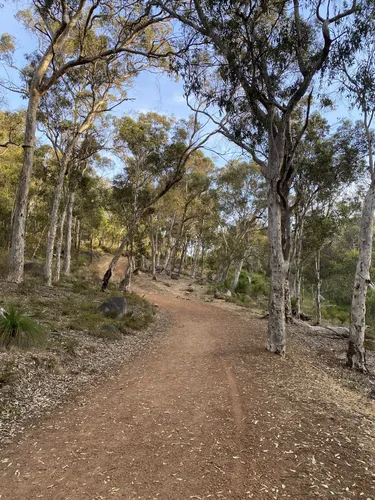 2023 Best Waterfall Trails in Kalamunda National Park | AllTrails