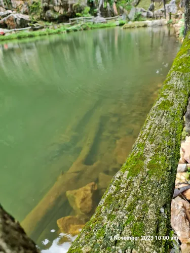 Best Hikes and Trails in Gunung Rapat | AllTrails