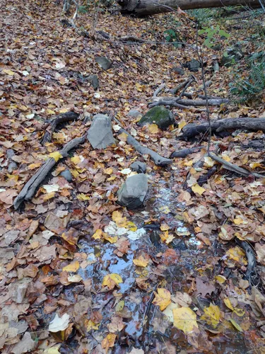 Best Hikes and Trails in Speedwell Forge County Park | AllTrails