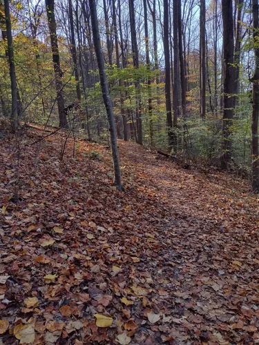 Best Hikes and Trails in Speedwell Forge County Park | AllTrails